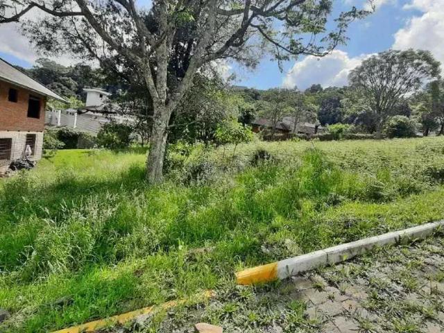 Terreno / Lote para Venda em Garibaldi/RS Cairú