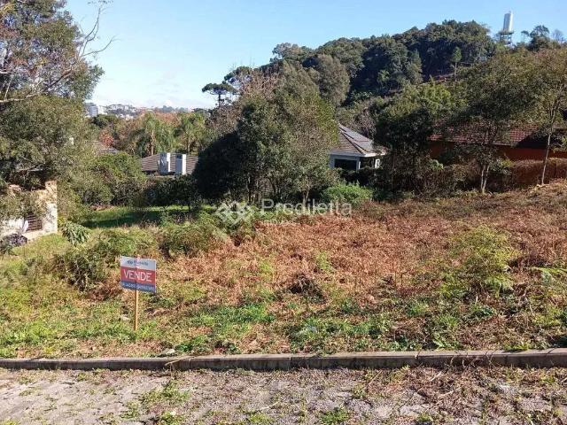 Terreno / Lote para Venda em Garibaldi/RS Cairú