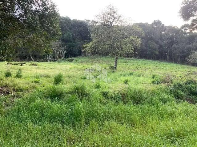 Terreno / Lote para Venda em Garibaldi/RS Centro
