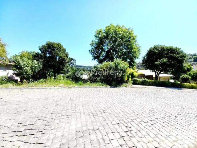Terreno / Lote para Venda em Garibaldi/RS Centro