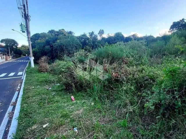 Terreno / Lote para Venda em Garibaldi/RS Centro