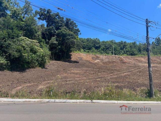 Terreno / Lote para Venda em Garibaldi/RS Chácaras