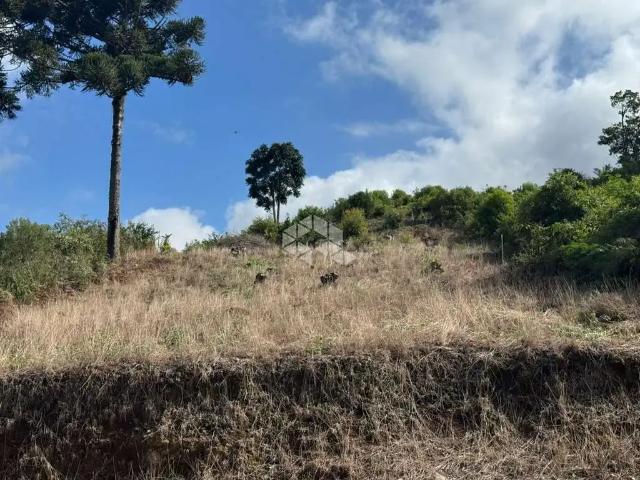 Terreno / Lote para Venda em Garibaldi/RS Chácaras
