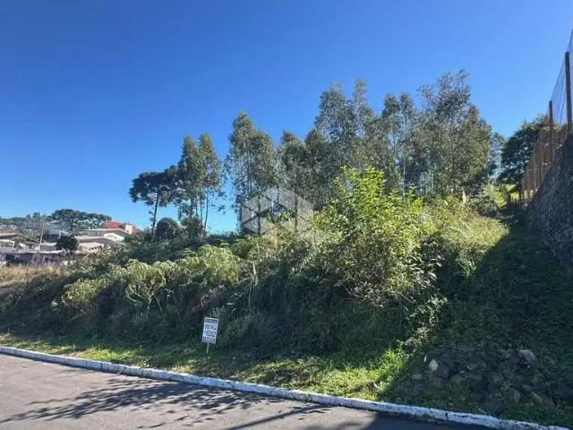 Terreno / Lote para Venda em Garibaldi/RS Chácaras