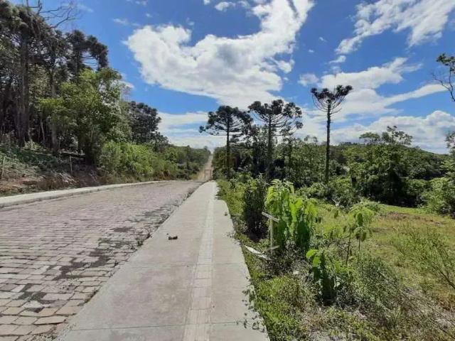 Terreno / Lote para Venda em Garibaldi/RS Chácaras