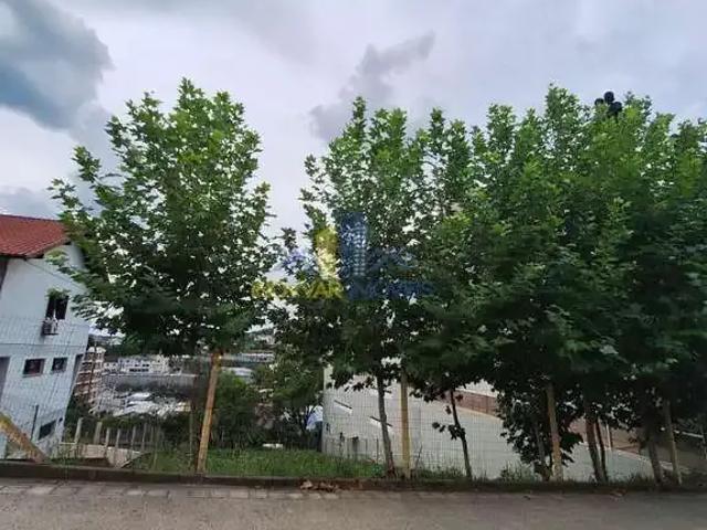 Terreno / Lote para Venda em Garibaldi/RS Champanhe