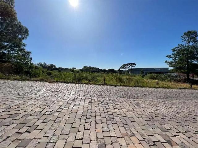 Terreno / Lote para Venda em Garibaldi/RS Garibaldina