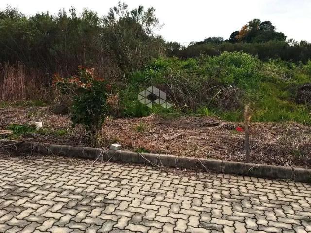 Terreno / Lote para Venda em Garibaldi/RS Garibaldina