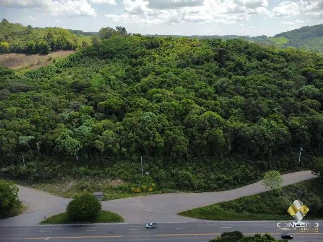 Terreno / Lote para Venda em Garibaldi/RS Garibaldina
