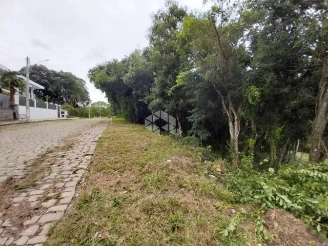 Terreno / Lote para Venda em Garibaldi/RS Garibaldina