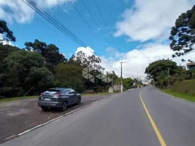 Terreno / Lote para Venda em Garibaldi/RS Glória