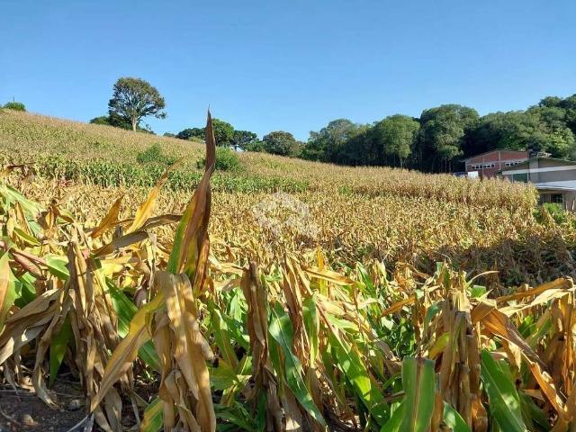 Terreno / Lote para Venda em Garibaldi/RS Integração