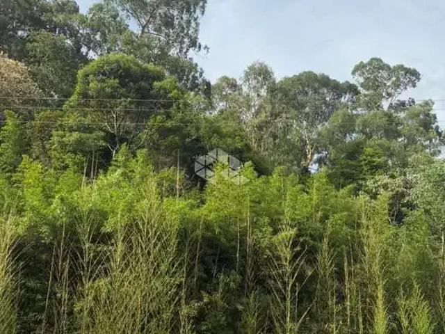 Terreno / Lote para Venda em Garibaldi/RS Peterlongo