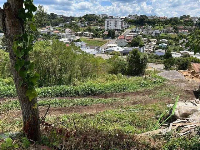 Terreno / Lote para Venda em Garibaldi/RS São Francisco