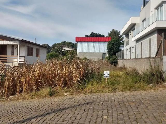 Terreno / Lote para Venda em Garibaldi/RS São Francisco