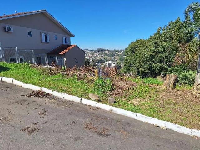 Terreno / Lote para Venda em Garibaldi/RS Santa Terezinha