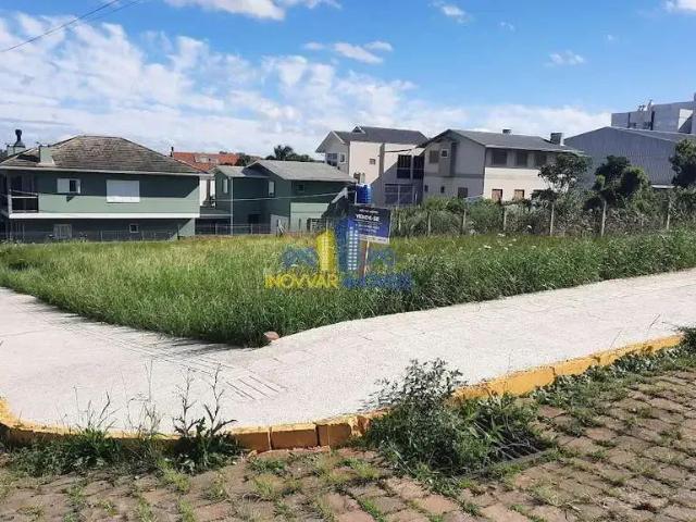 Terreno / Lote para Venda em Garibaldi/RS Santa Terezinha