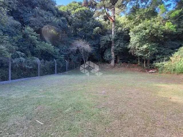 Terreno / Lote para Venda em Garibaldi/RS Santa Terezinha