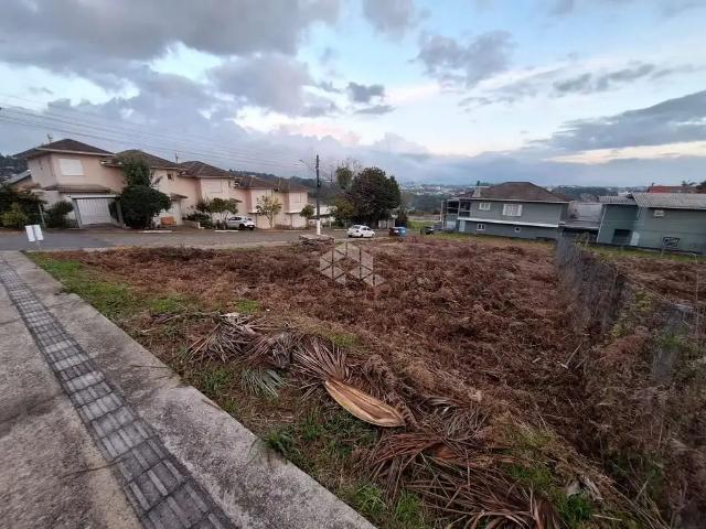 Terreno / Lote para Venda em Garibaldi/RS Santa Terezinha
