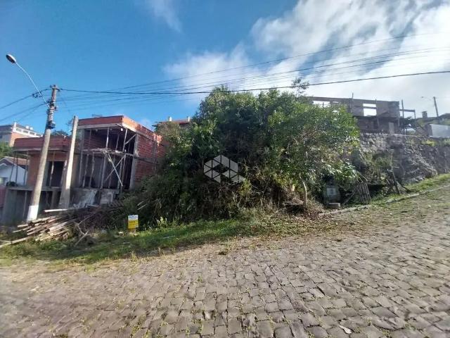 Terreno / Lote para Venda em Garibaldi/RS Santa Terezinha