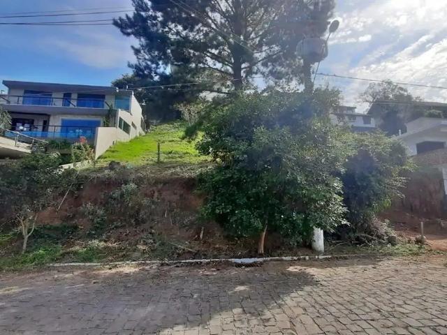 Terreno / Lote para Venda em Garibaldi/RS Santa Terezinha