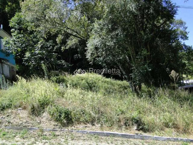 Terreno / Lote para Venda em Garibaldi/RS Santa Terezinha