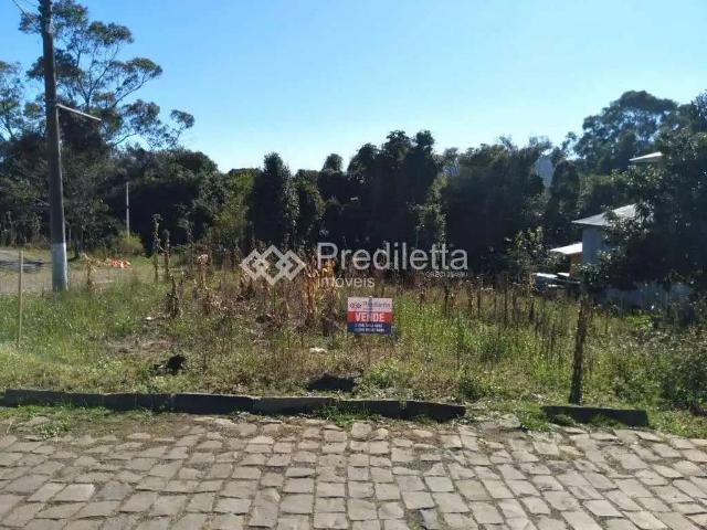 Terreno / Lote para Venda em Garibaldi/RS Santa Terezinha