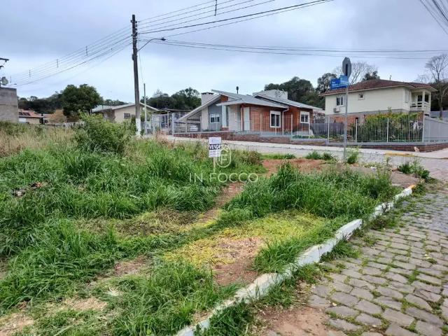 Terreno / Lote para Venda em Garibaldi/RS Santa Terezinha