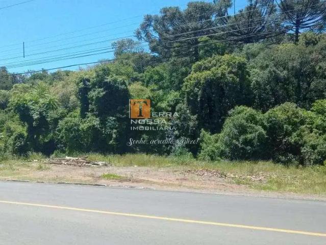 Terreno / Lote para Venda em Garibaldi/RS Simonaggio