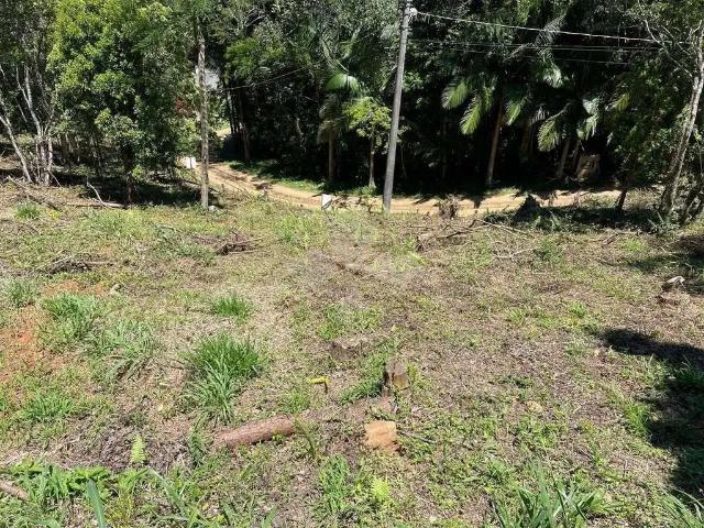 Terreno / Lote para Venda em Garopaba/SC Macacu