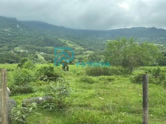 Terreno / Lote para Venda em Garopaba/SC Macacu