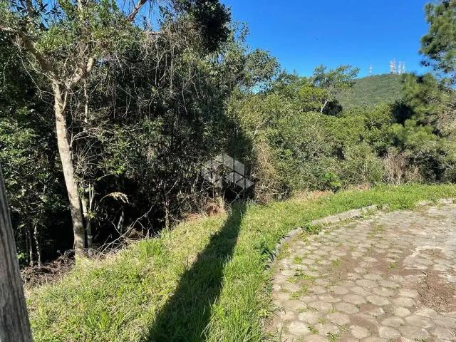Terreno / Lote para Venda em Garopaba/SC Macacu
