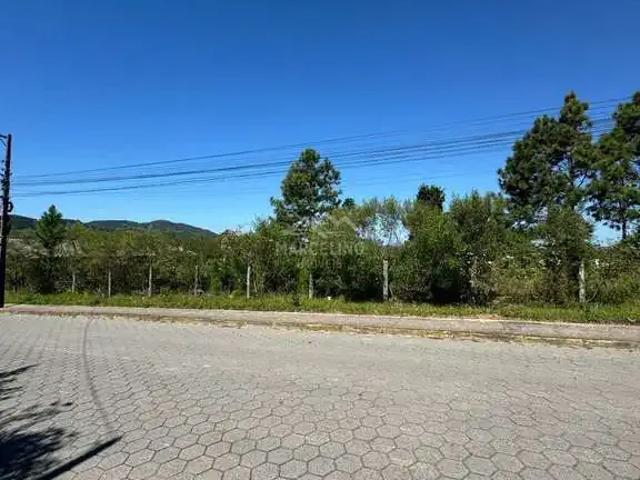 Terreno / Lote para Venda em Garopaba/SC Ambrósio