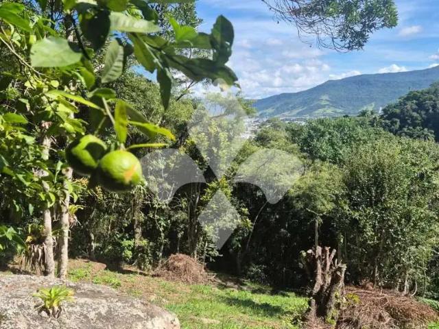 Terreno / Lote para Venda em Garopaba/SC Areais da Palhocinha