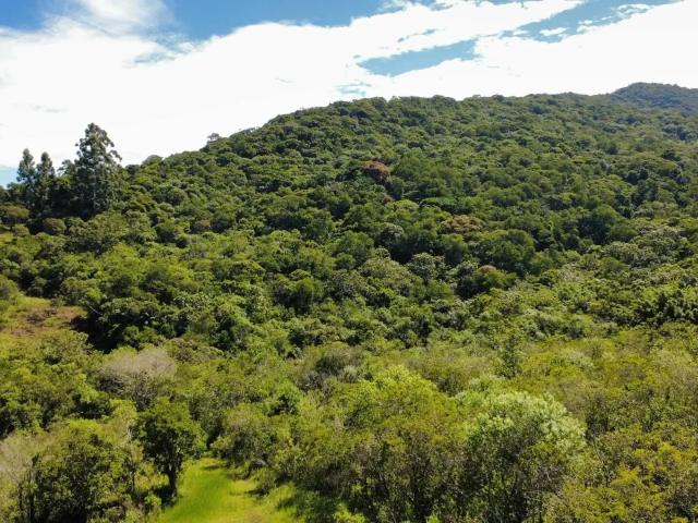 Terreno / Lote para Venda em Garopaba/SC Campo Duna