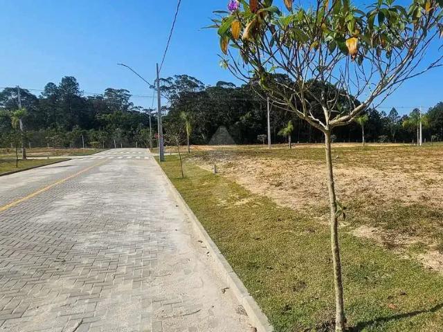 Terreno / Lote para Venda em Garopaba/SC Campo Duna