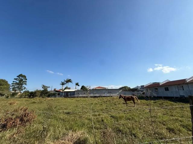 Terreno / Lote para Venda em Garopaba/SC Campo Duna