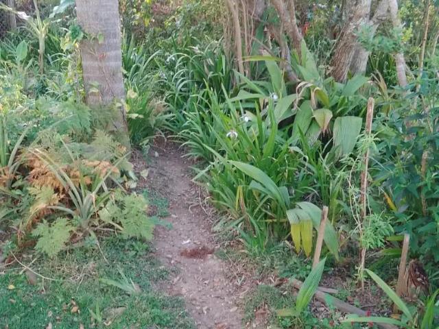 Terreno / Lote para Venda em Garopaba/SC Campo Duna