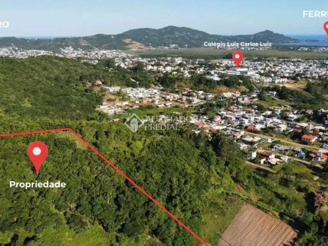 Terreno / Lote para Venda em Garopaba/SC Centro