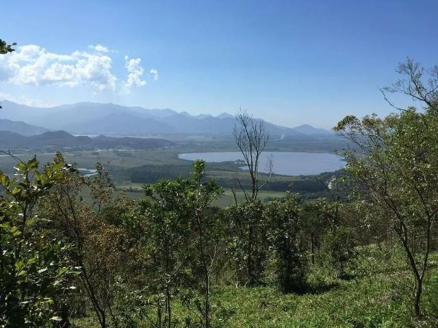 Terreno / Lote para Venda em Garopaba/SC Centro