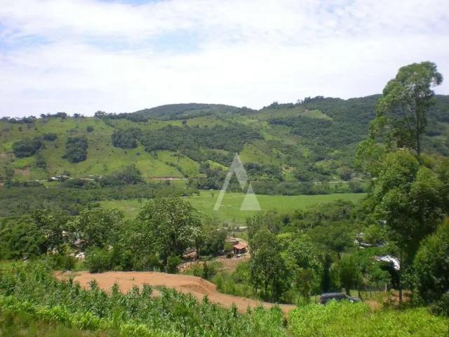 Terreno / Lote para Venda em Garopaba/SC Costa Do Macacu