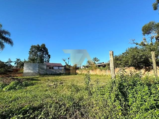 Terreno / Lote para Venda em Garopaba/SC Encantada