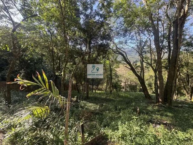 Terreno / Lote para Venda em Garopaba/SC Encantada