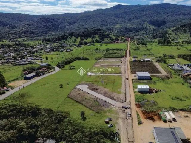 Terreno / Lote para Venda em Garopaba/SC Encantada