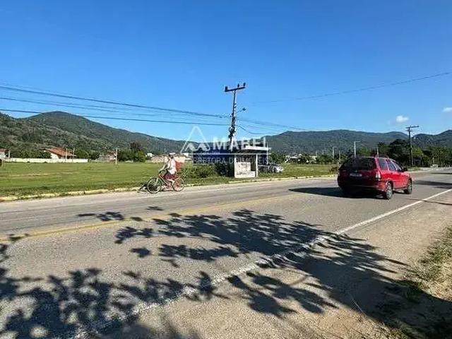 Terreno / Lote para Venda em Garopaba/SC Encantada