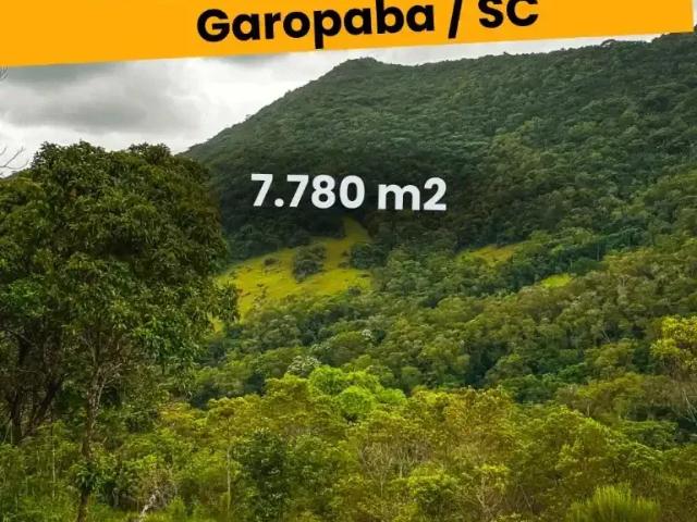 Terreno / Lote para Venda em Garopaba/SC Encantada