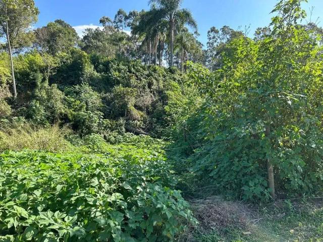 Terreno / Lote para Venda em Garopaba/SC Encantada