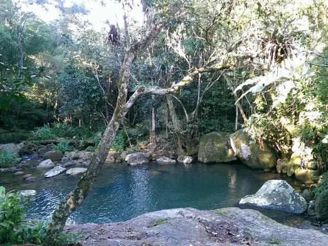 Terreno / Lote para Venda em Garopaba/SC Encantada