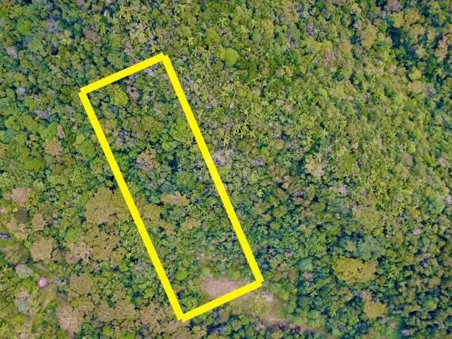 Terreno / Lote para Venda em Garopaba/SC Encantada