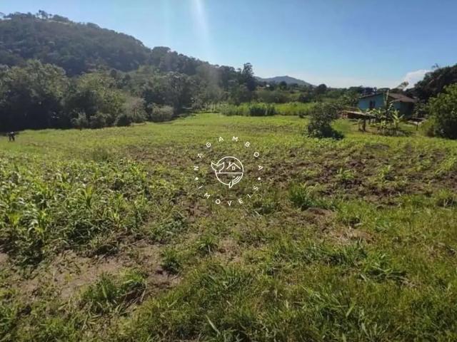 Terreno / Lote para Venda em Garopaba/SC Encantada